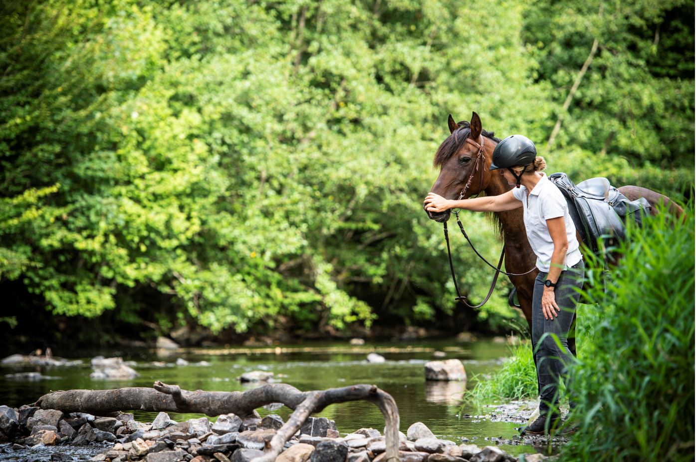 Vacances à Libramont-Chevigny (Belgique, Forêt de St-Hubert)
