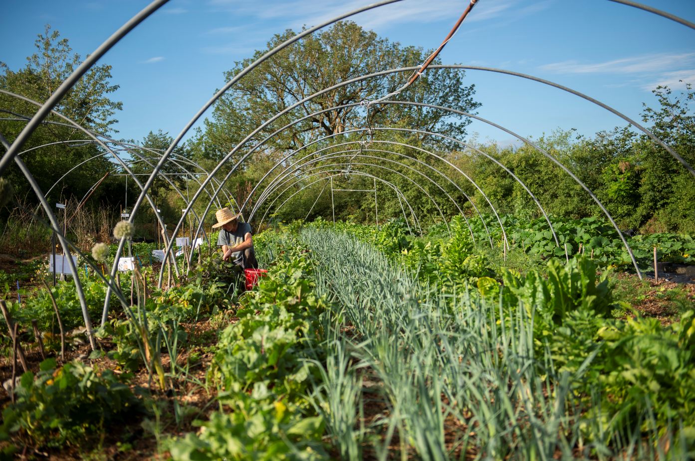 Wat valt er te doen in Wellin ? Toerisme in het woud van Saint-Hubert
