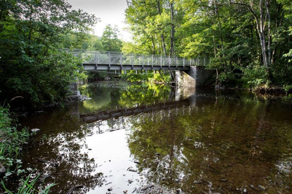 Wat valt er te doen in Wellin ? Toerisme in het woud van Saint-Hubert