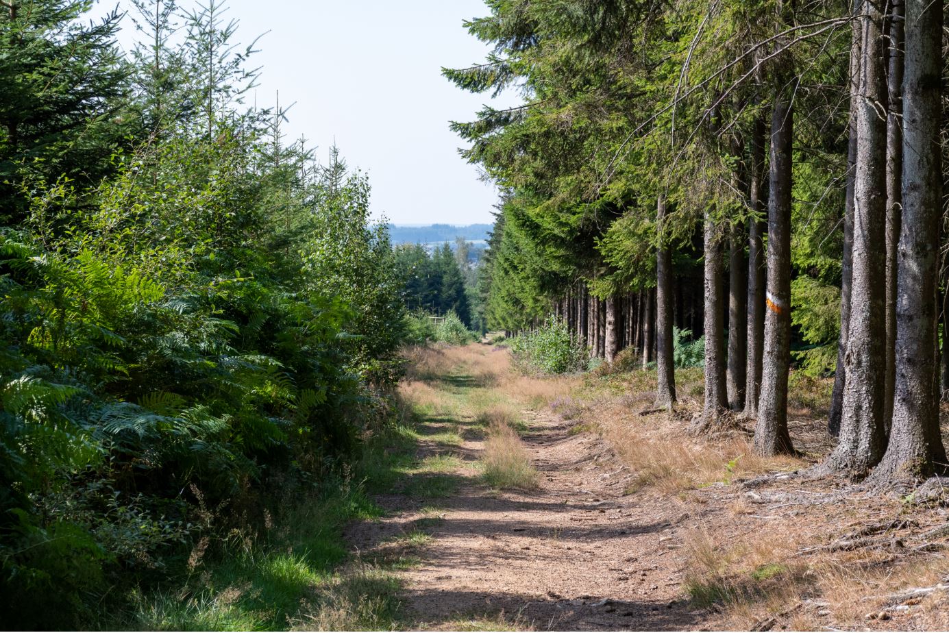 Vakantie in Libramont-Chevigny (België, St-Hubert)