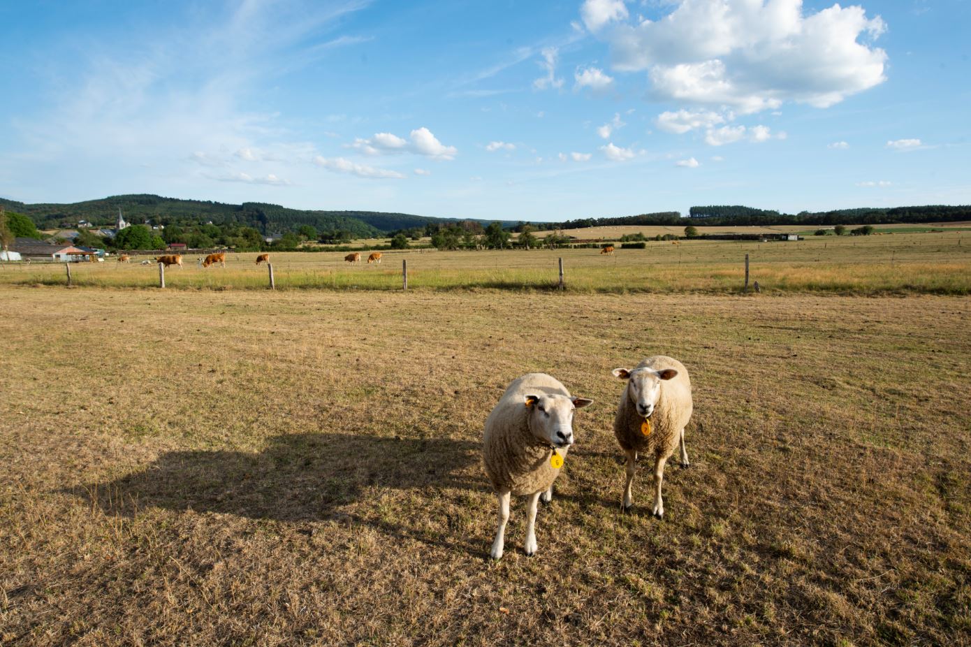 Wellin, landschapsverandering in Famenne-Ardenne - Maison du Tourisme ...