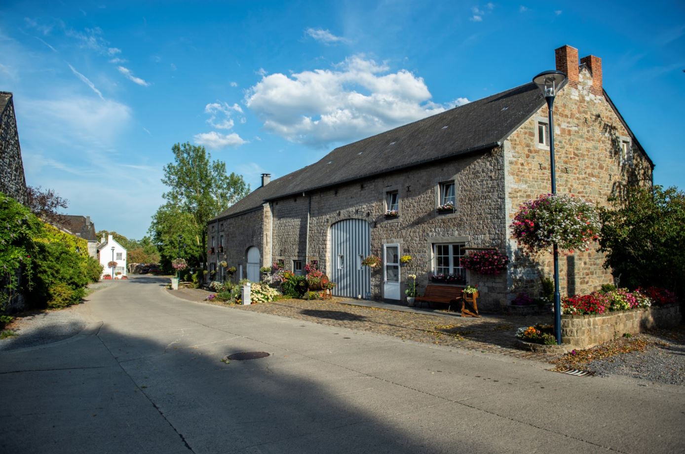 Wat valt er te doen in Wellin ? Toerisme in het woud van Saint-Hubert