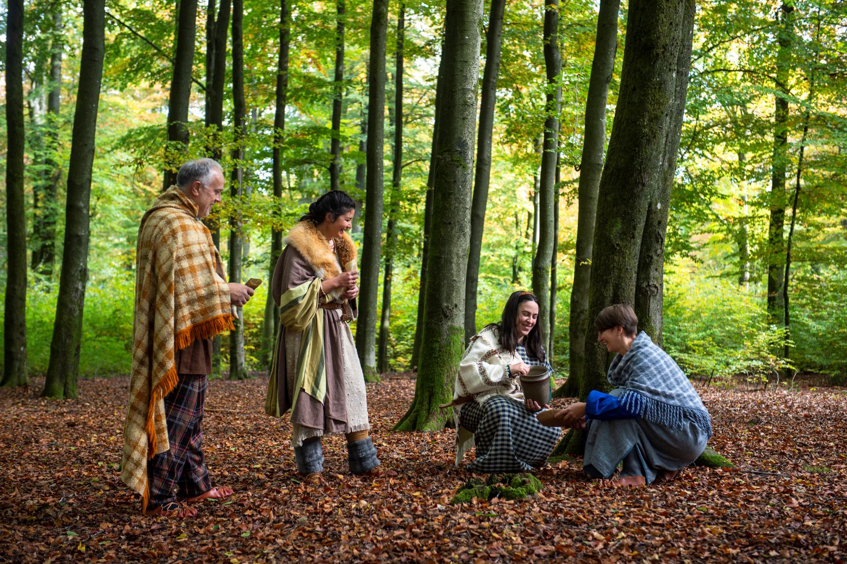 Holidays in Libramont-Chevigny (Belgium, Forêt de St-Hubert)