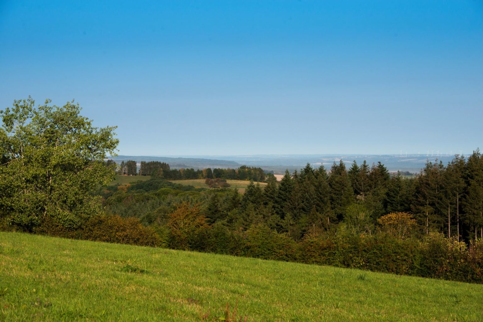 Que faire à Tellin? Tourisme en Forêt de Saint-Hubert