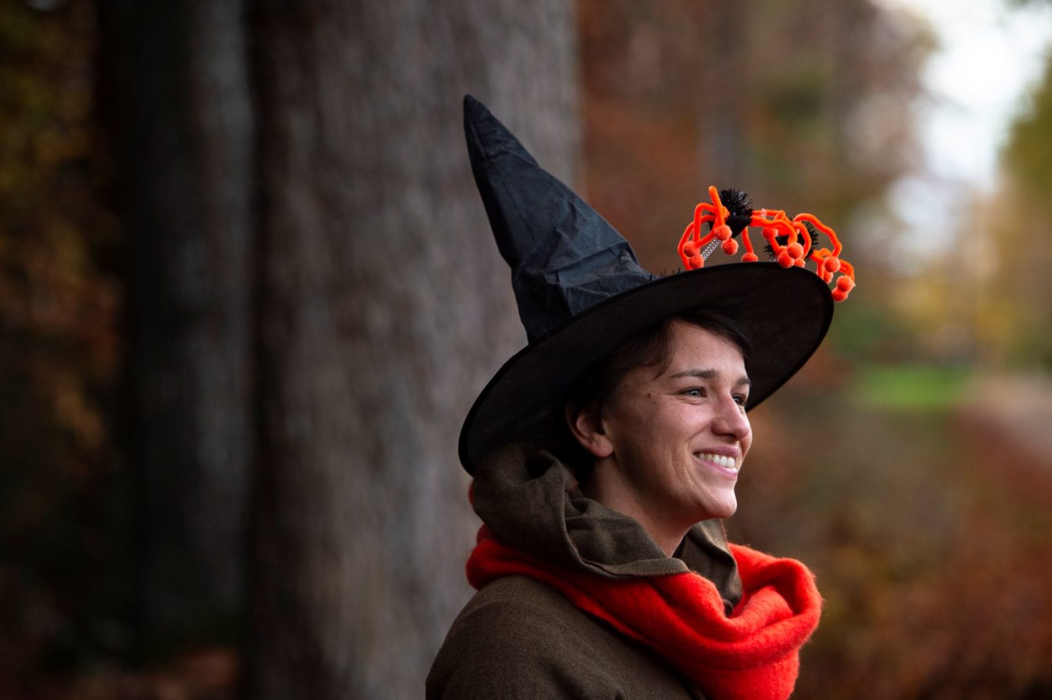 Holidays in Libramont-Chevigny (Belgium, Forêt de St-Hubert)