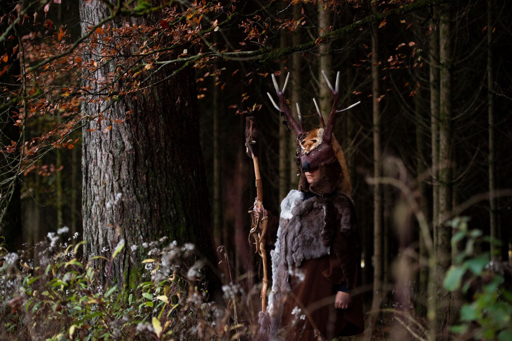 Holidays in Libramont-Chevigny (Belgium, Forêt de St-Hubert)