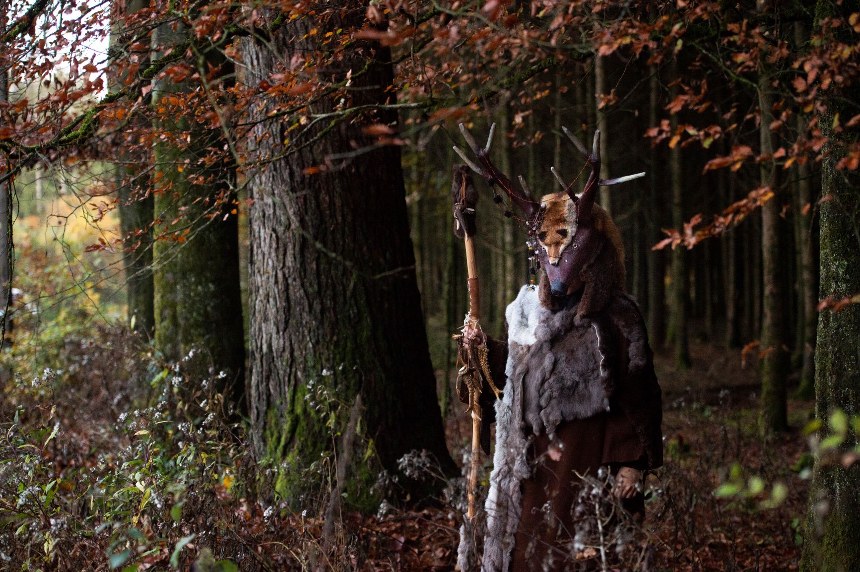Libramont-Chevigny, de Keltische - Maison du Tourisme de la Forêt de ...
