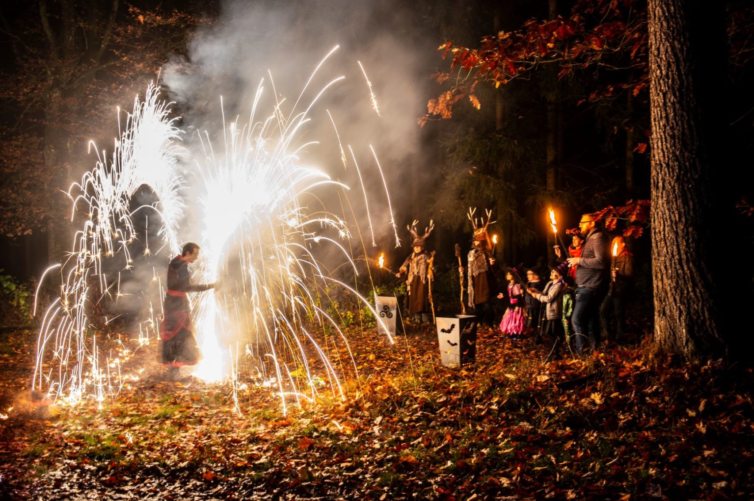 Holidays in Libramont-Chevigny (Belgium, Forêt de St-Hubert)