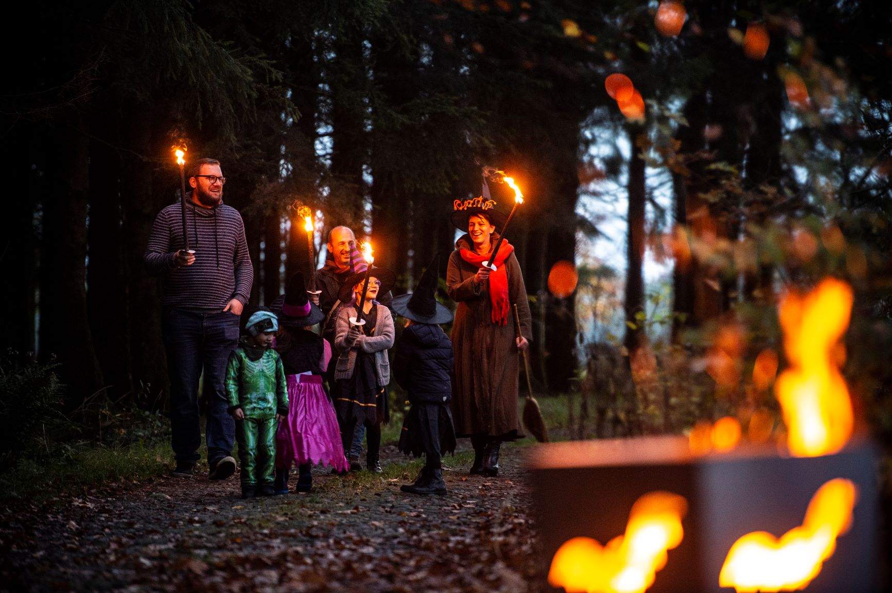 Holidays in Libramont-Chevigny (Belgium, Forêt de St-Hubert)