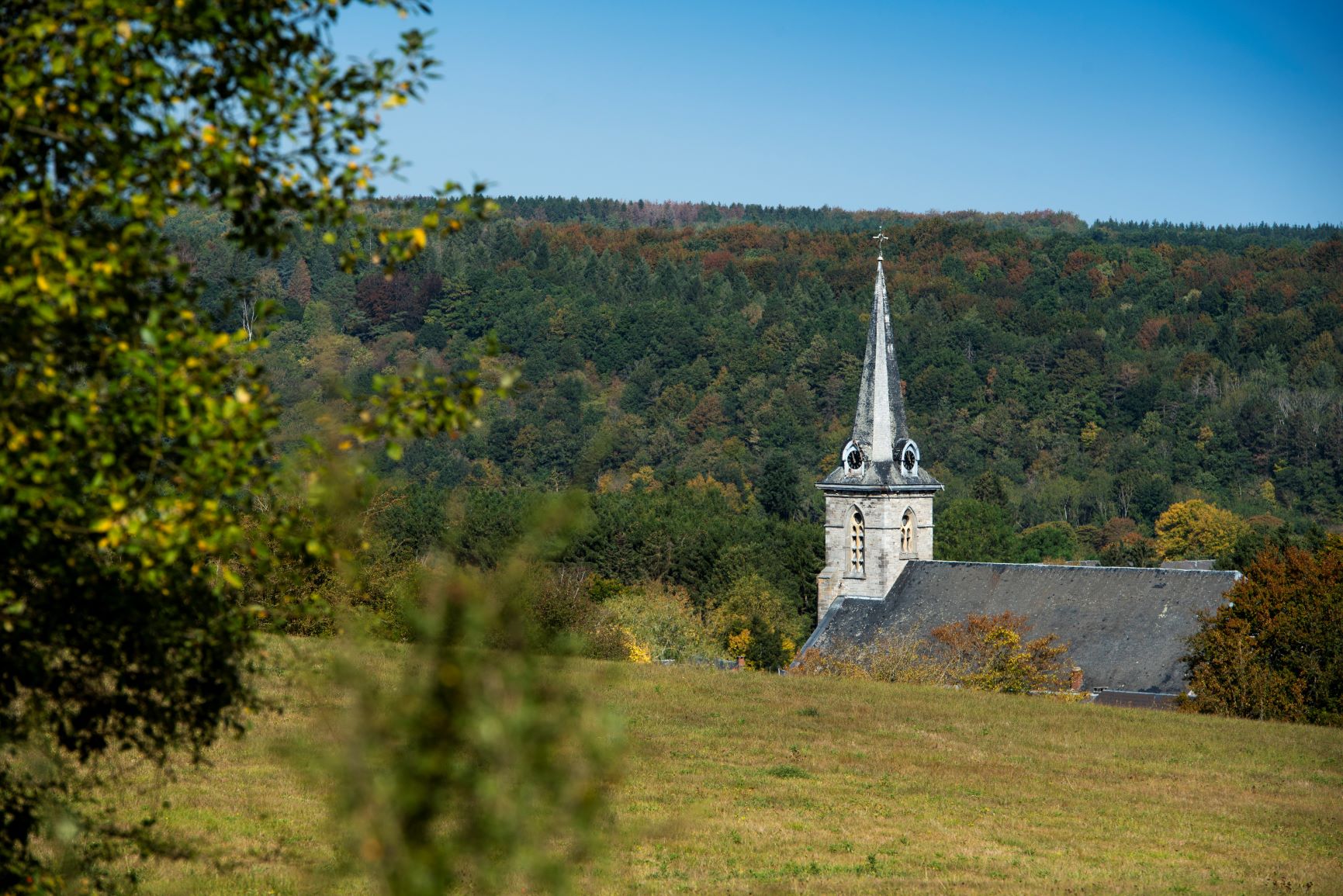 Holidays at Tellin (Belgium, Ardennes, Forêt de Saint-Hubert)