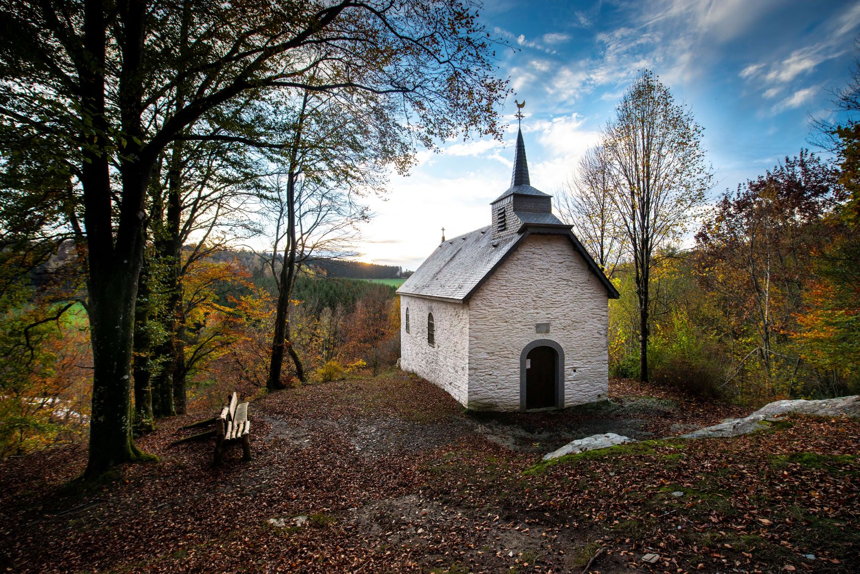 Que faire à Libramont-Chevigny? Forêt de Saint-Hubert