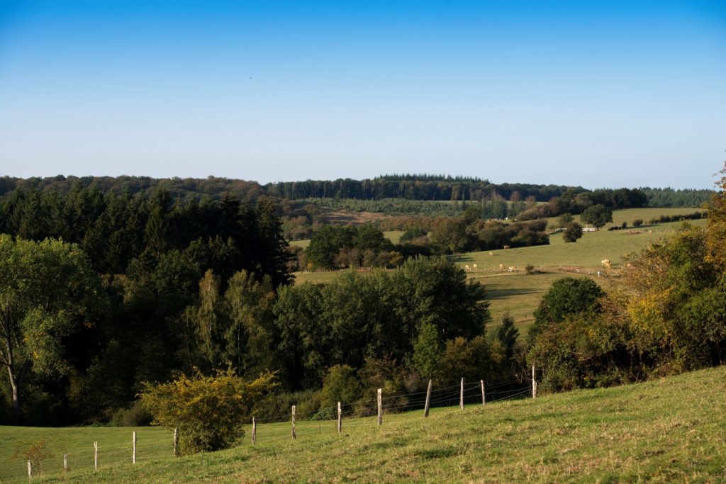 Toerisme in Libramont-Chevigny - Provincie Luxemburg