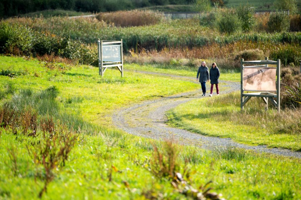 Holidays in Libramont-Chevigny (Belgium, Forêt de St-Hubert)