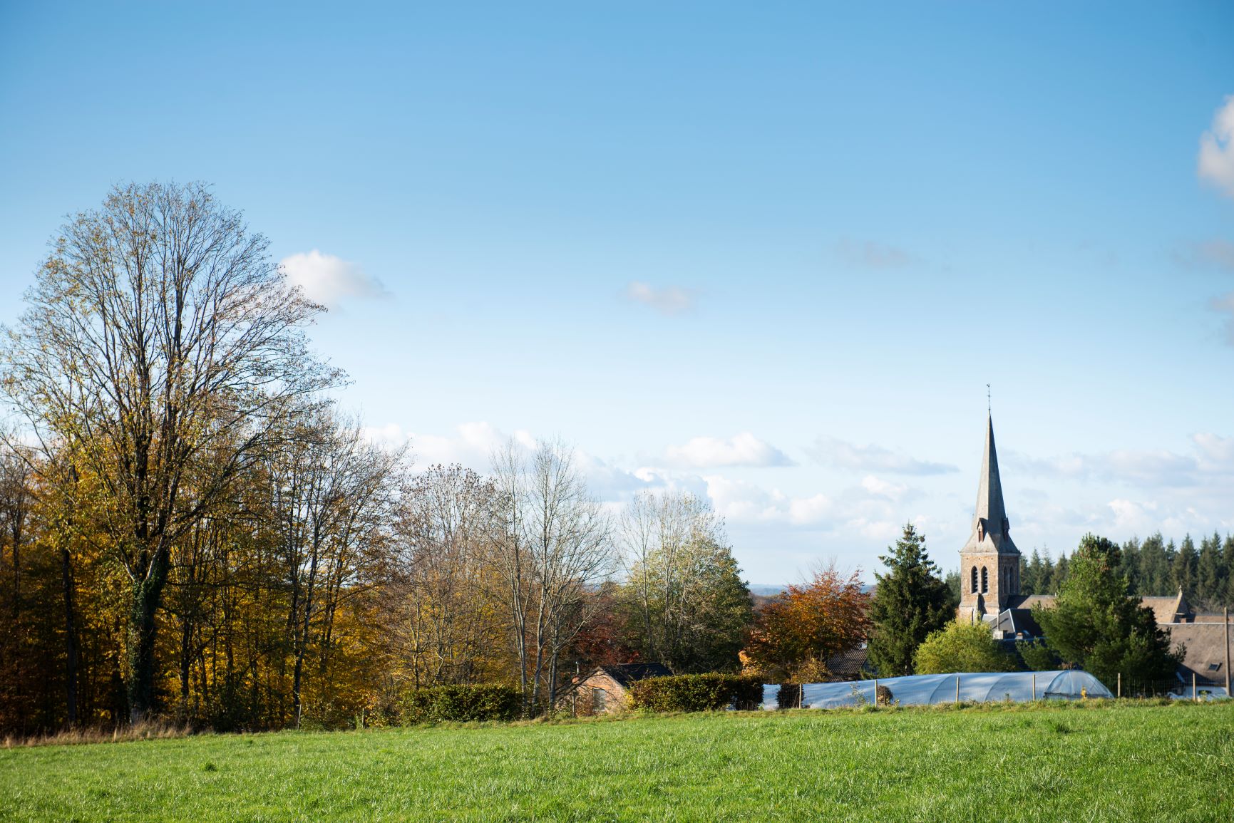 Que faire à Saint-Hubert ? - Tourisme en Forêt de Saint-Hubert