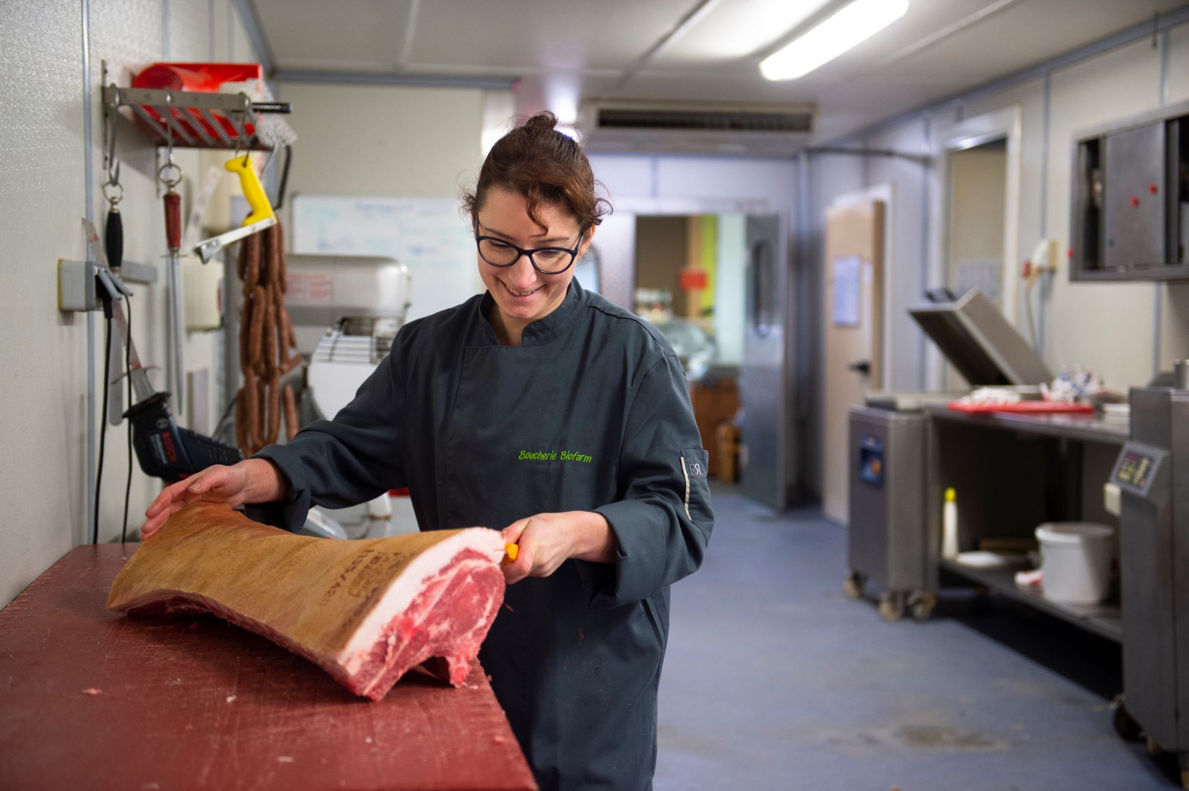 Vacances à Tenneville (Belgique, Ardenne, Forêt de Saint-Hubert)