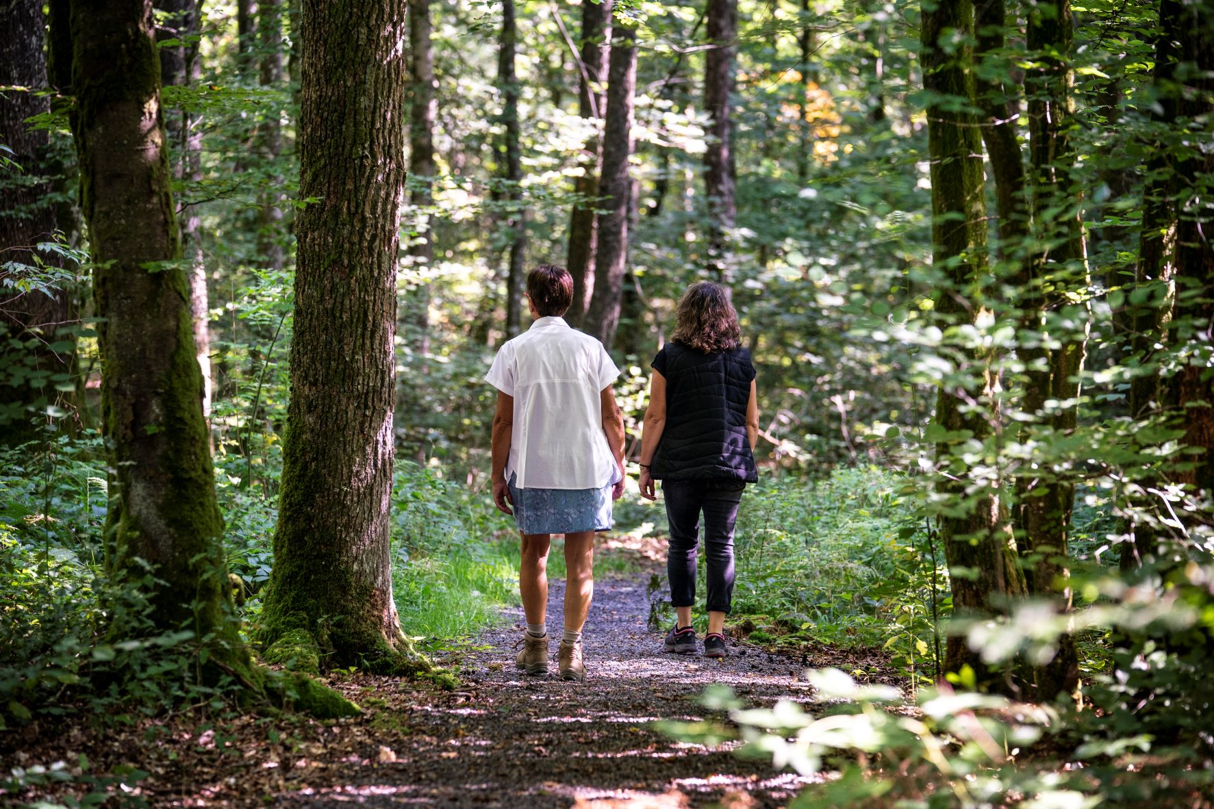 Wat valt er te doen in Tenneville? Toerisme in het woud van Saint-Hubert