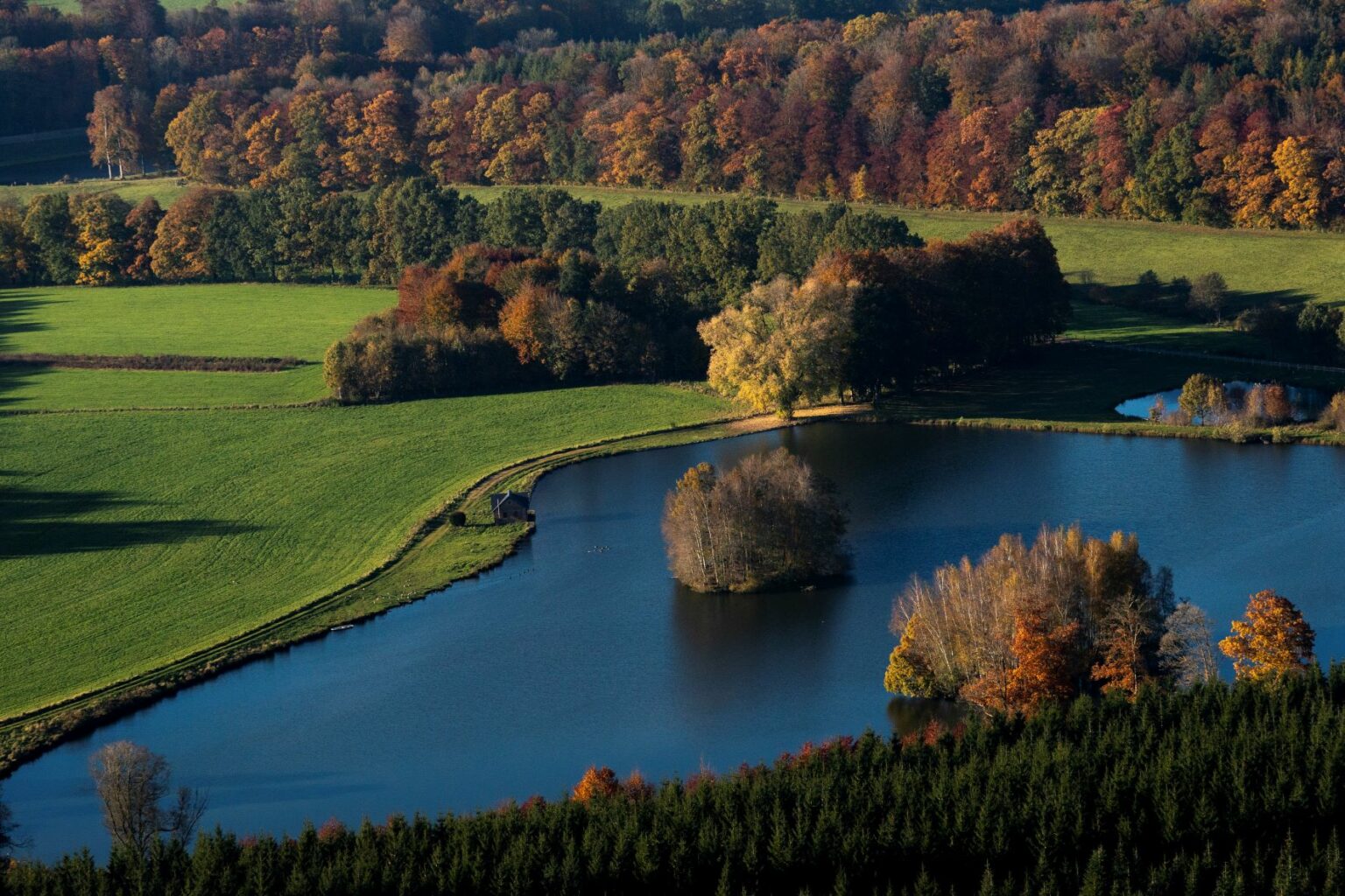Holidays in Libramont-Chevigny (Belgium, Forêt de St-Hubert)