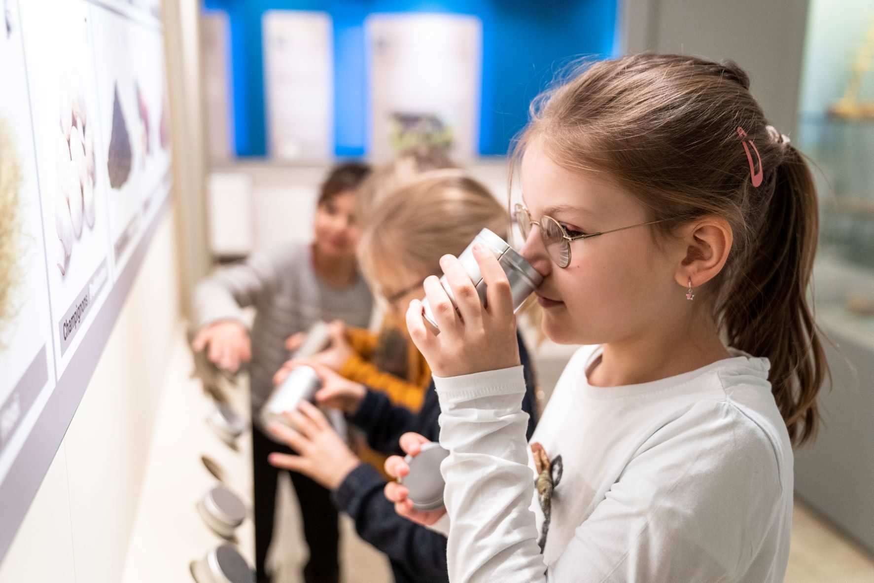 Que faire à Libramont-Chevigny? Forêt de Saint-Hubert