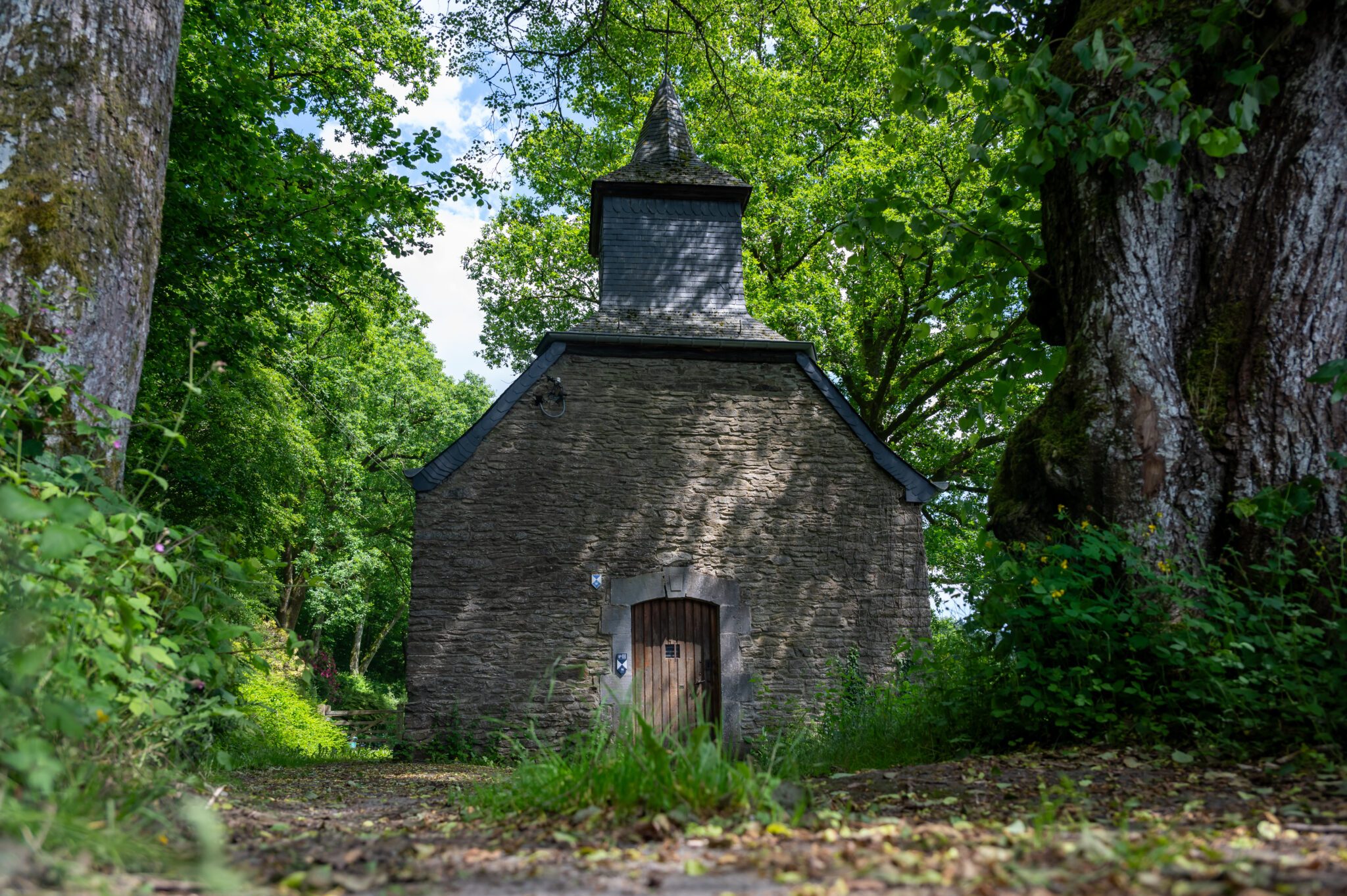 Libin, tussen hemel en aarde - Maison du Tourisme de la Forêt de Saint ...