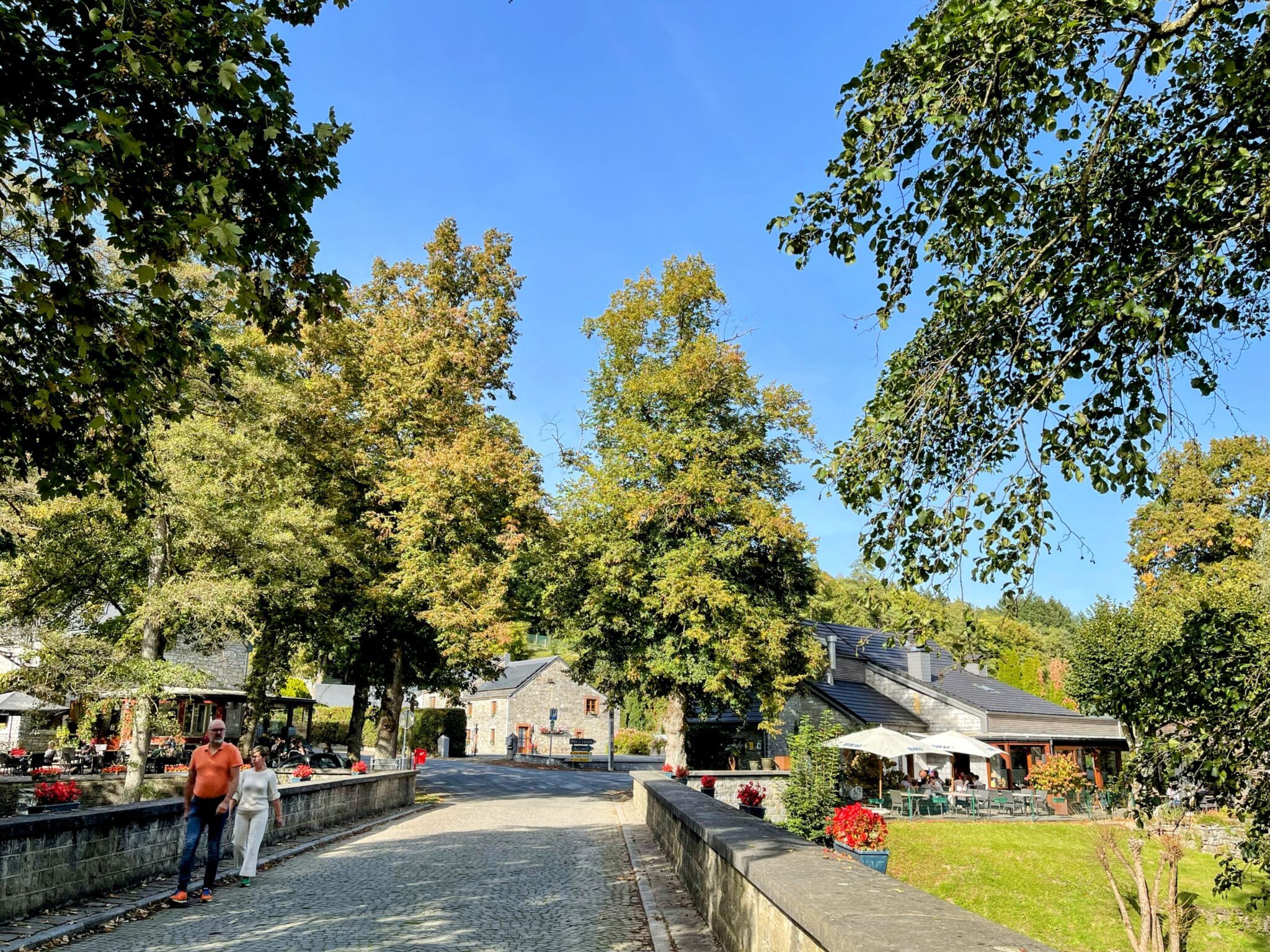 Vakantie in Tellin (België, Ardennen, Forêt de Saint-Hubert)