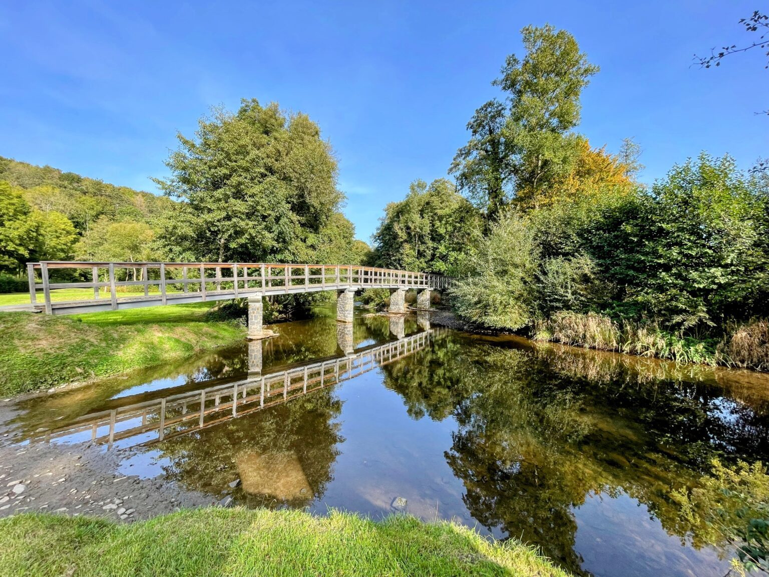 Vakantie in Tellin (België, Ardennen, Forêt de Saint-Hubert)