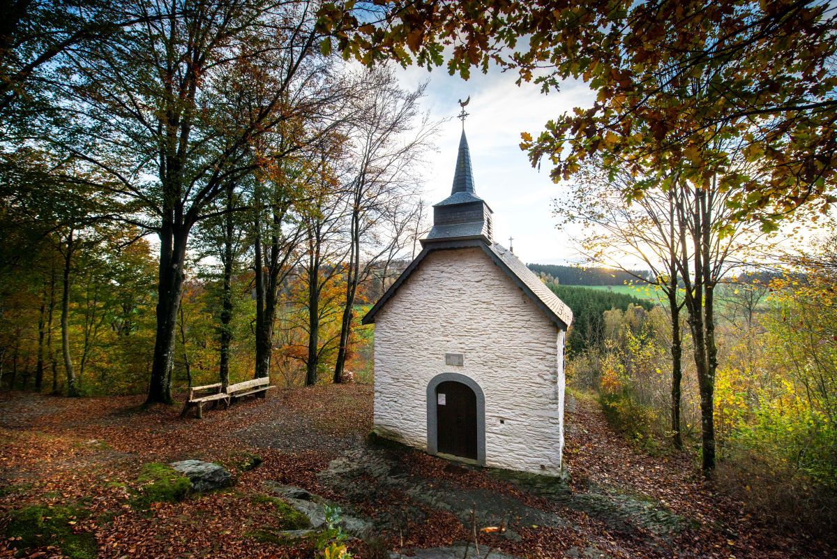 Vakantie in Libramont-Chevigny (België, St-Hubert)