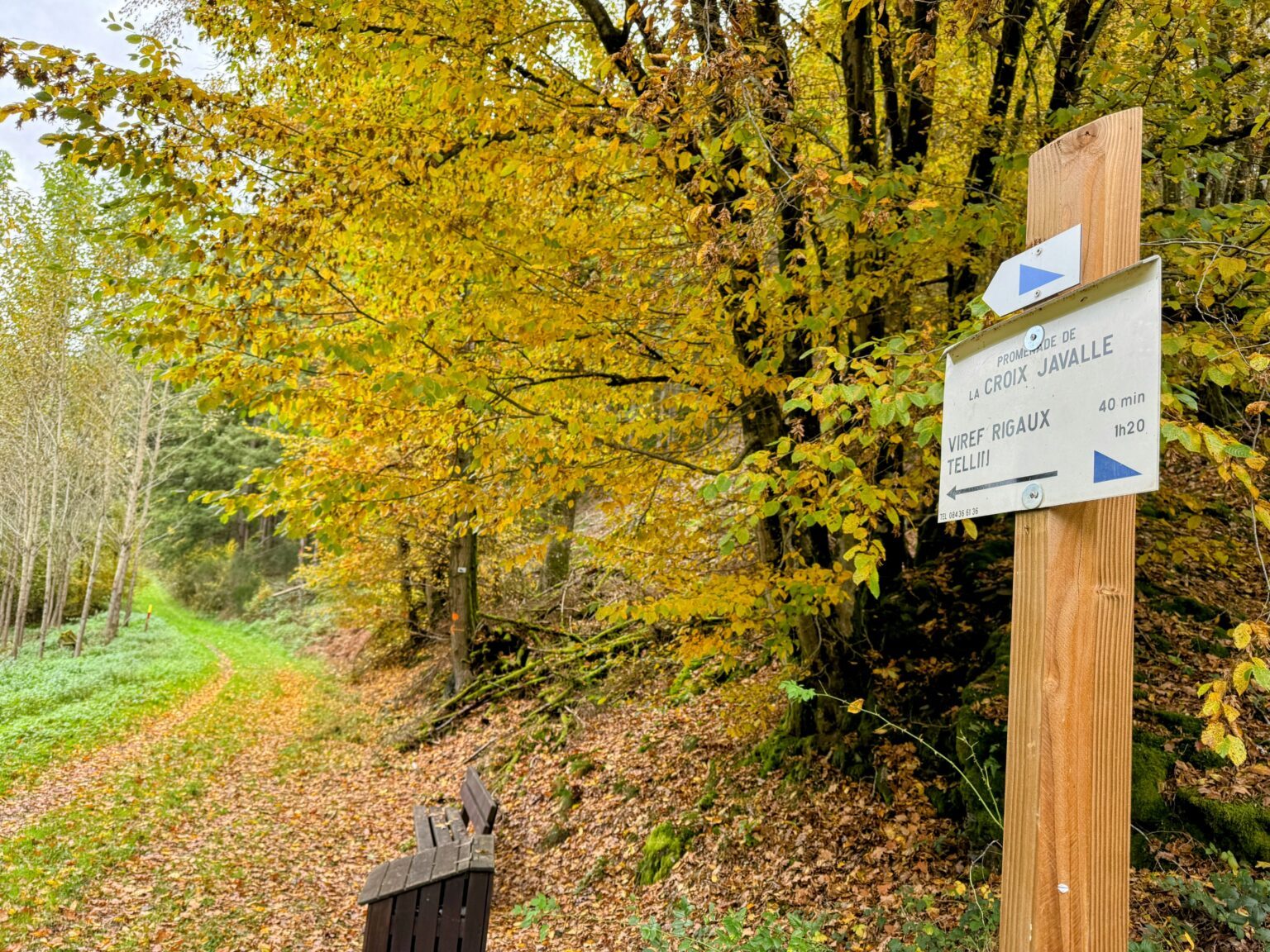 Vakantie in Tellin (België, Ardennen, Forêt de Saint-Hubert)