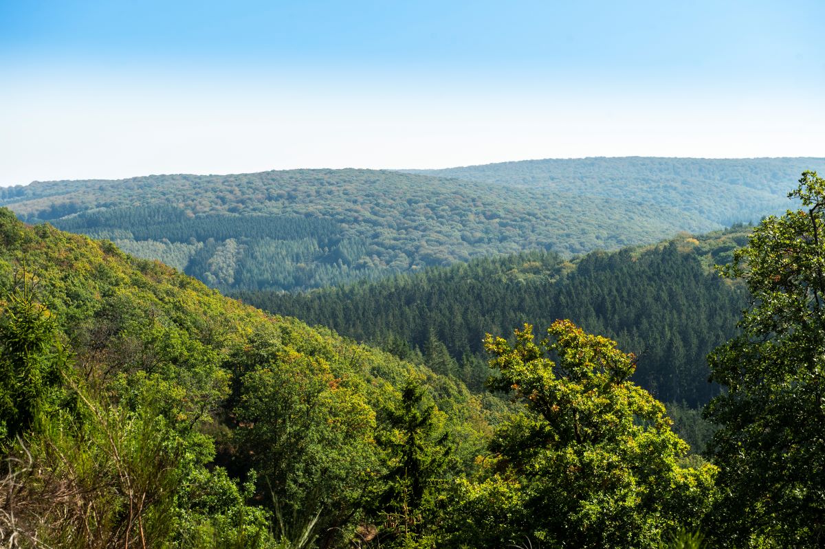 Wellin, landschapsverandering in Famenne-Ardenne - Maison du Tourisme ...