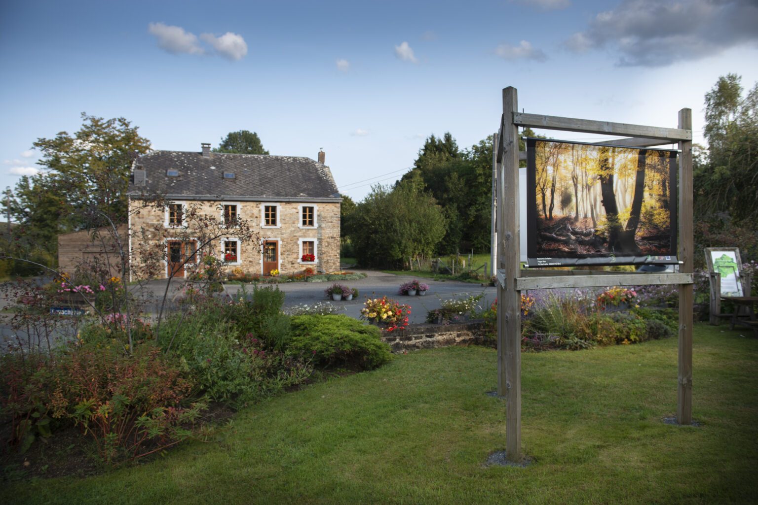 Vacances à Tenneville (Belgique, Ardenne, Forêt de Saint-Hubert)