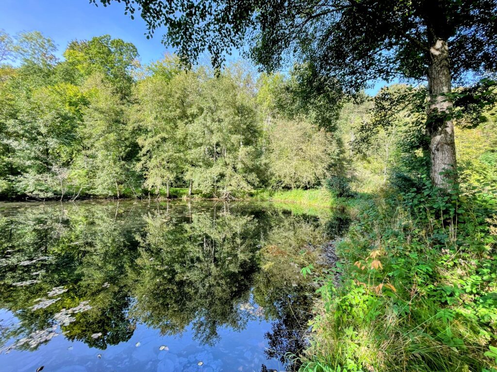 Que faire quand il fait très (trop) chaud