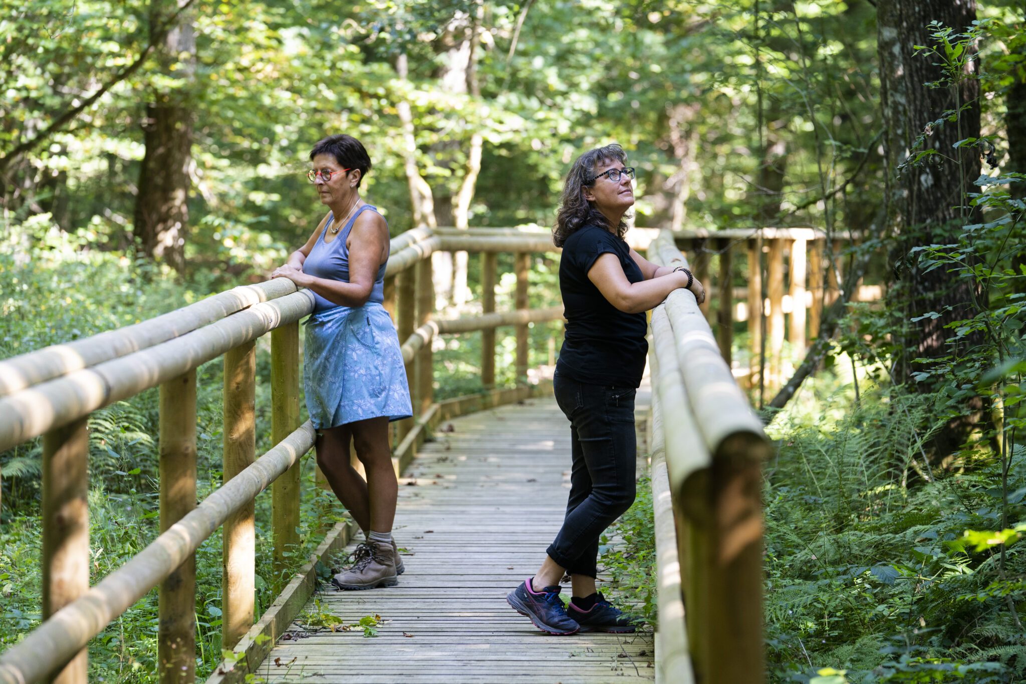 Vacances à Tenneville (Belgique, Ardenne, Forêt de Saint-Hubert)