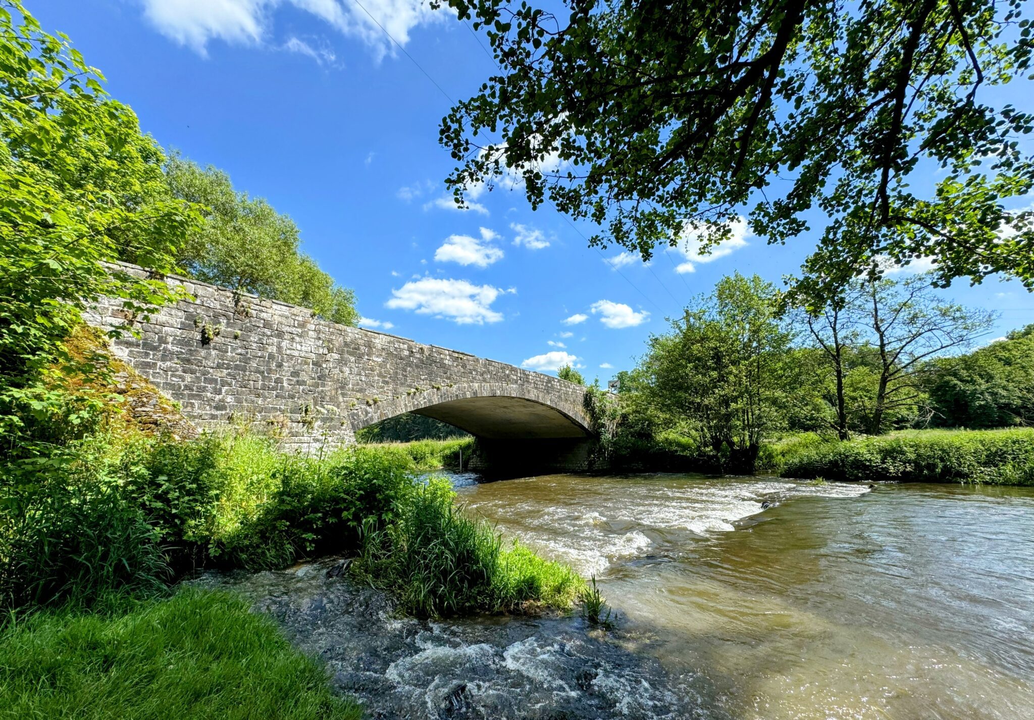 Vacances à Tenneville (Belgique, Ardenne, Forêt de Saint-Hubert)