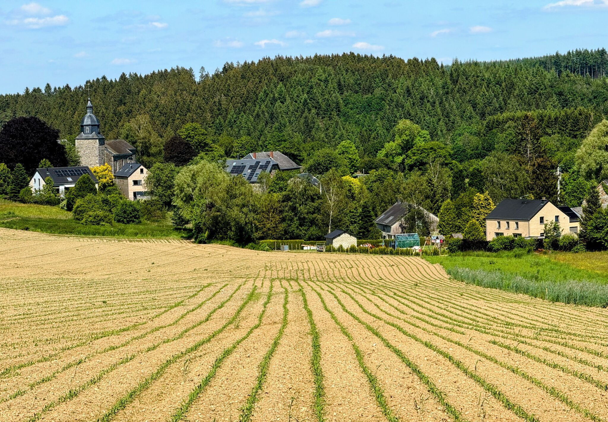 Vacances à Tenneville (Belgique, Ardenne, Forêt de Saint-Hubert)