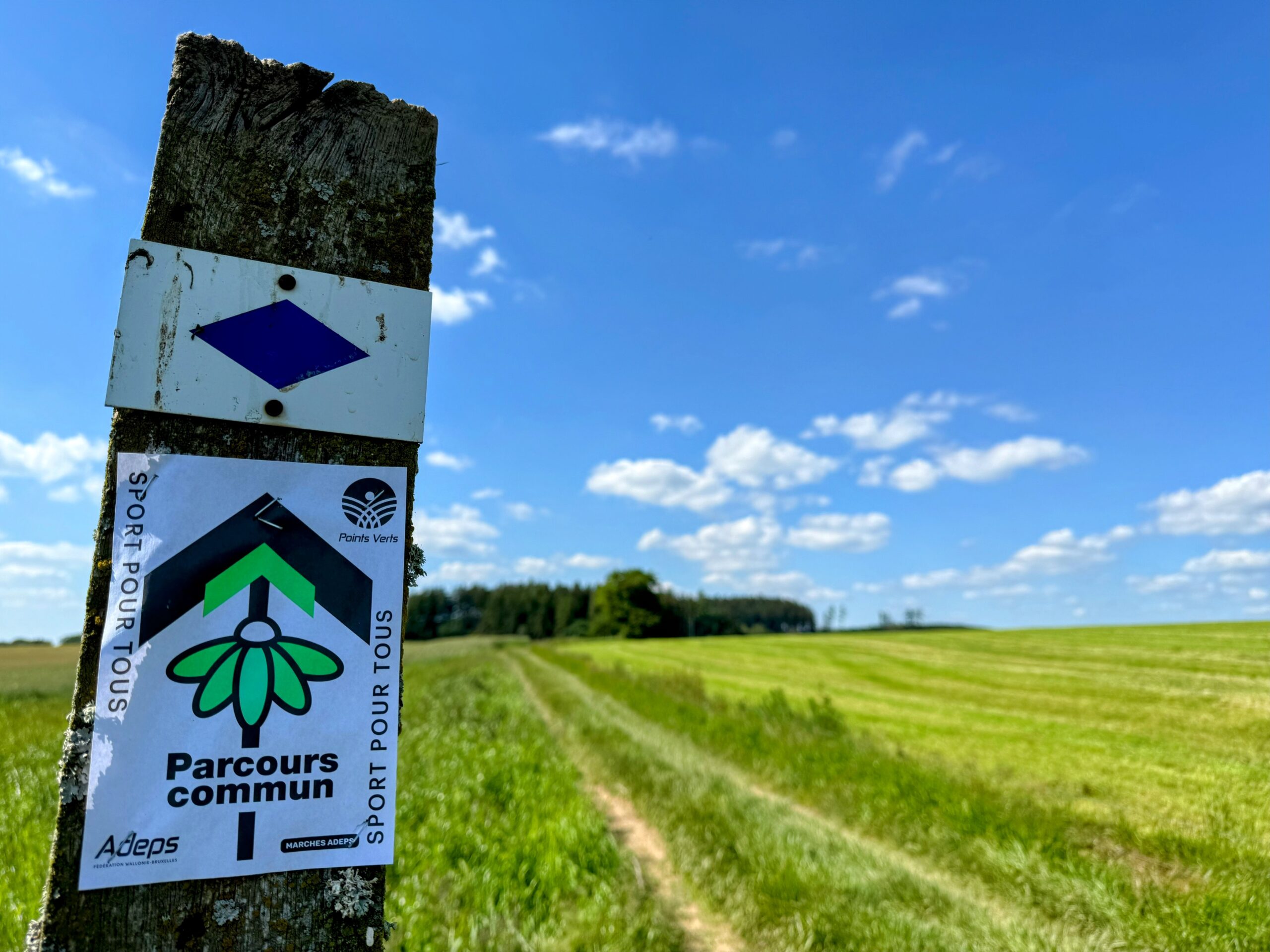 Marches et courses organisées - Maison du Tourisme de la Forêt de Saint ...
