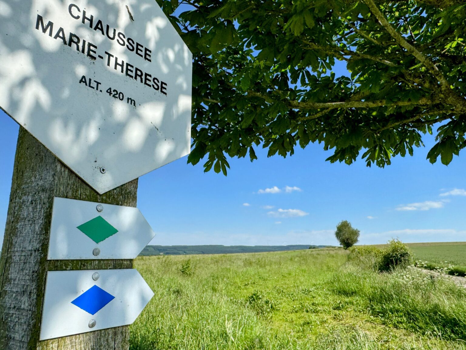 Vacances à Tenneville (Belgique, Ardenne, Forêt de Saint-Hubert)