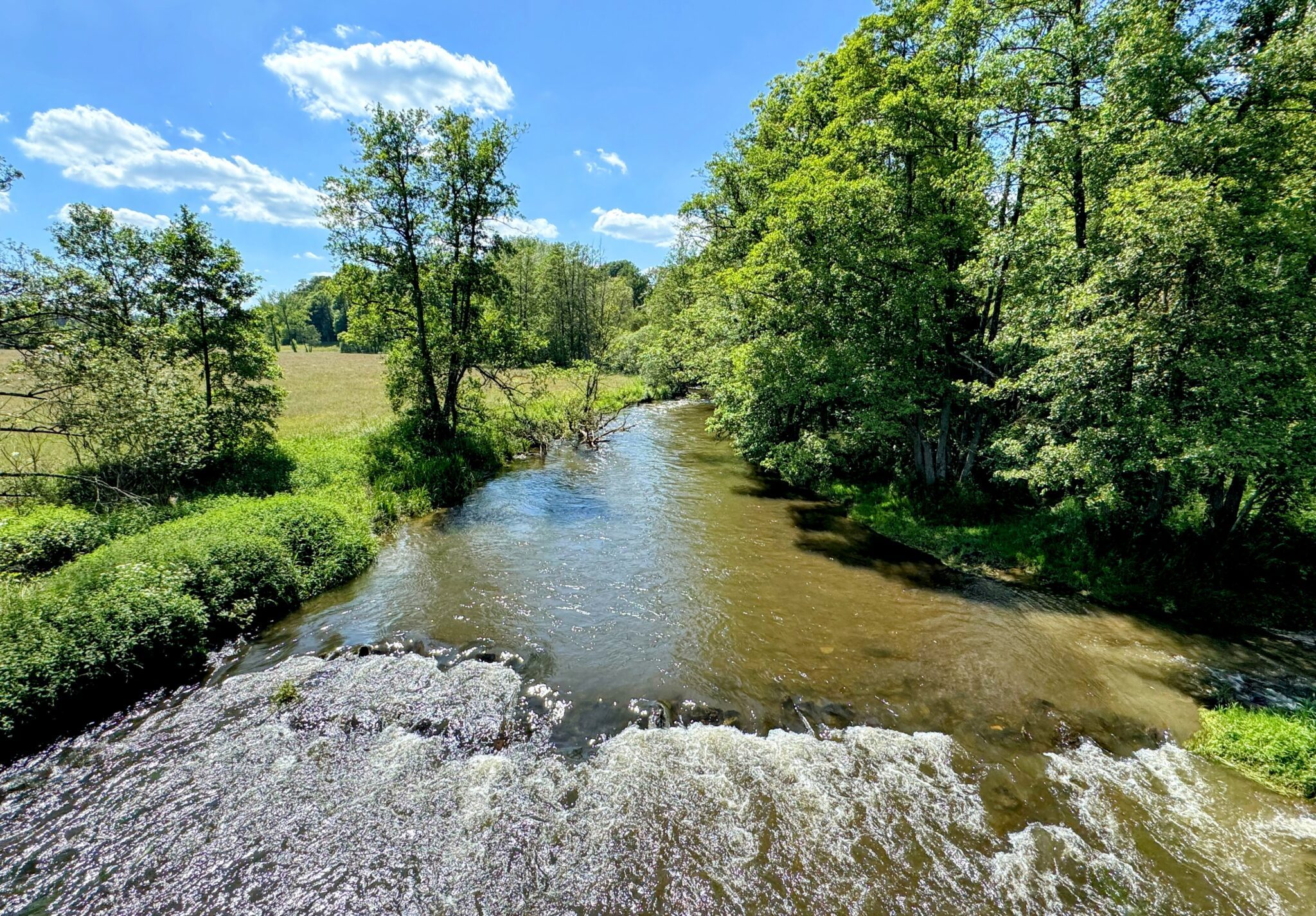 Vacances à Tenneville (Belgique, Ardenne, Forêt de Saint-Hubert)