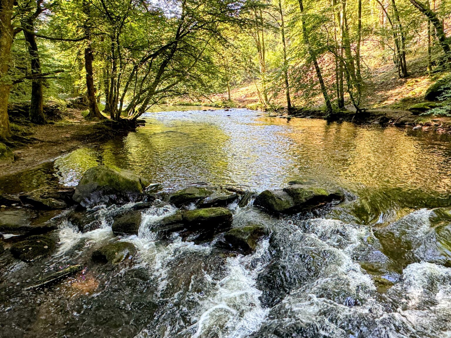 Libin, tussen hemel en aarde - Maison du Tourisme de la Forêt de Saint ...